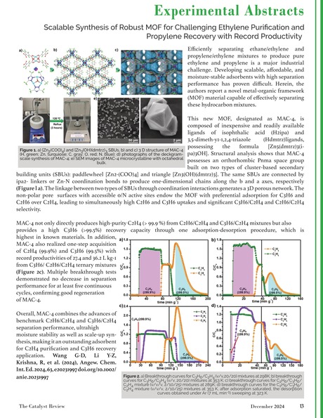 The Catalyst Review December 2024 - 13