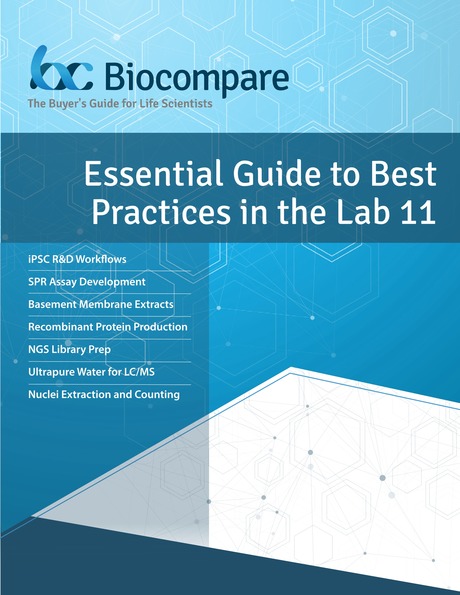 eBook: Essential Guide to Best Practices in the Lab 11