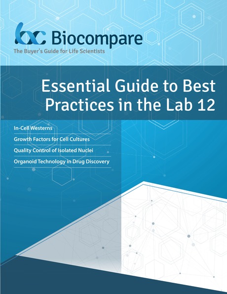 eBook: Essential Guide to Best Practices in the Lab 12