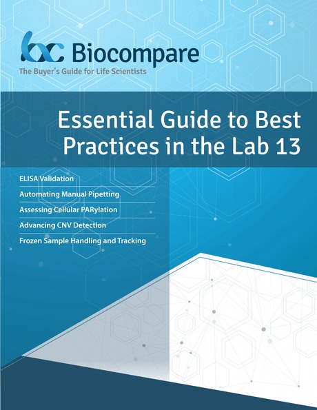 eBook: Essential Guide to Best Practices in the Lab 13