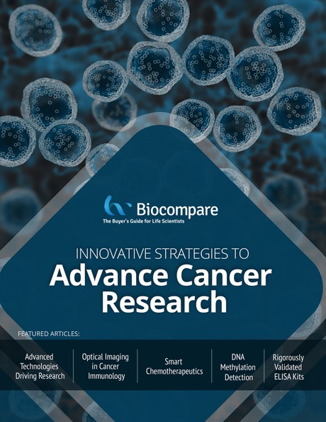 eBook: Innovative Strategies to Advance Cancer Research