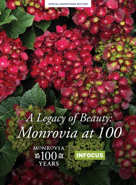 Monrovia Nursery: Special InFocus Report