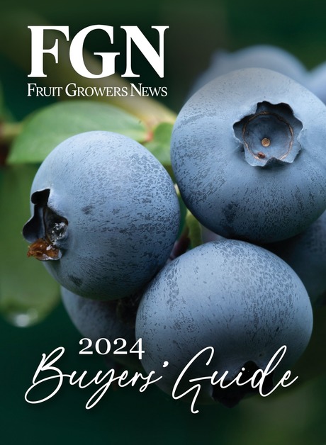 Buyers' Guide 2024