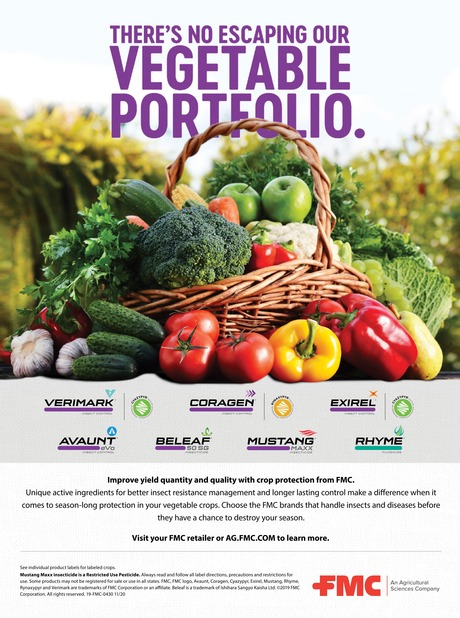 Southeastern U.S. Vegetable Crop Handbook - 2023 - 136