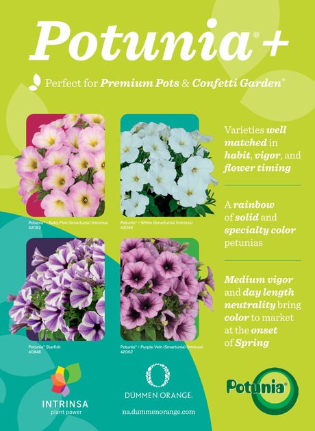 New Varieties Digital Guide 2024 - 19
