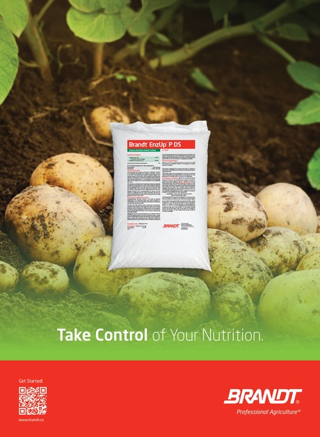 Spudman January 2023 - 29