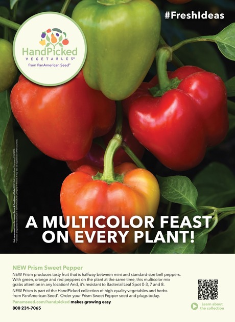 VGN Digital Seed Guide 2024 - 7