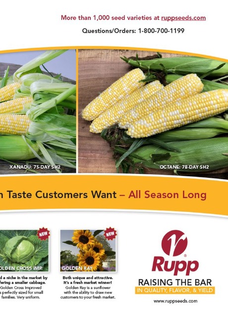 VGN Digital Seed Guide 2024 - 9