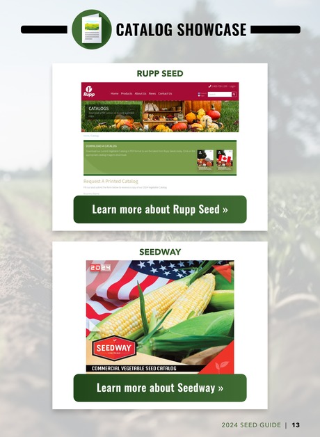 VGN Digital Seed Guide 2024 - 13