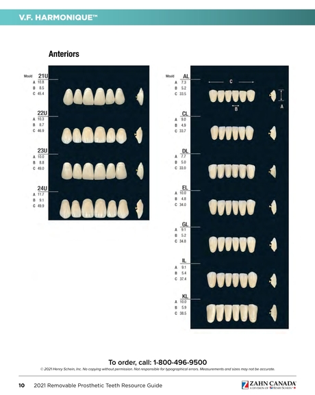 Zahn Teeth Resource Guide 2021 - EN - 10