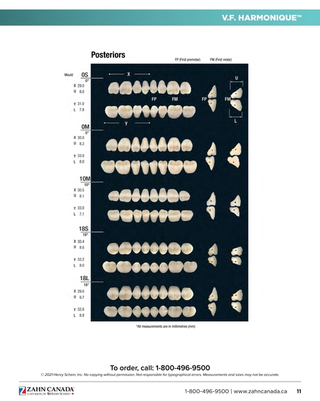 Zahn Teeth Resource Guide 2021 - EN - 11