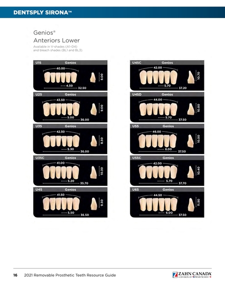 Zahn Teeth Resource Guide 2021 - EN - 16