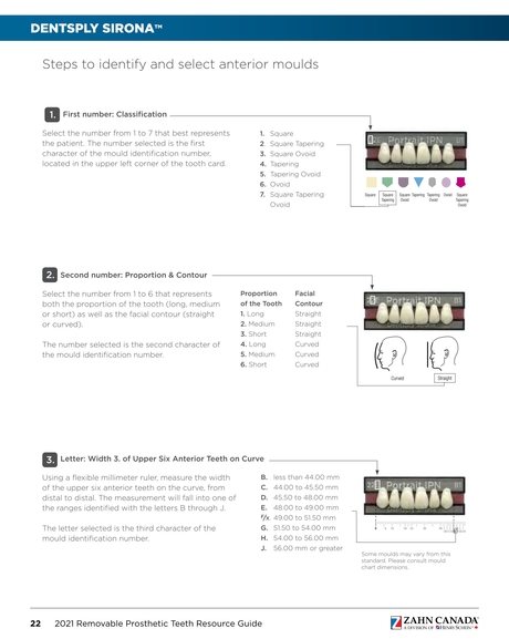 Zahn Teeth Resource Guide 2021 - EN - 22