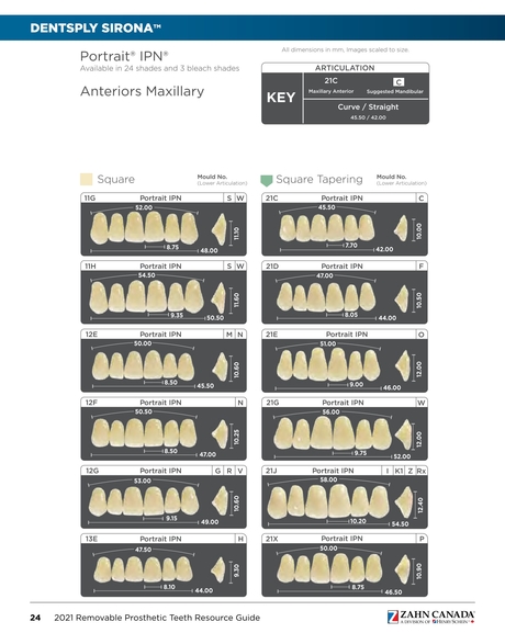 Zahn Teeth Resource Guide 2021 - EN - 24