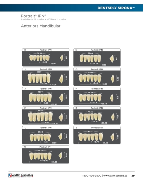 Zahn Teeth Resource Guide 2021 - EN - 29