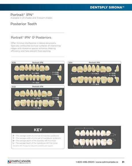 Zahn Teeth Resource Guide 2021 - EN - 31