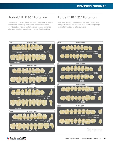 Zahn Teeth Resource Guide 2021 - EN - 33