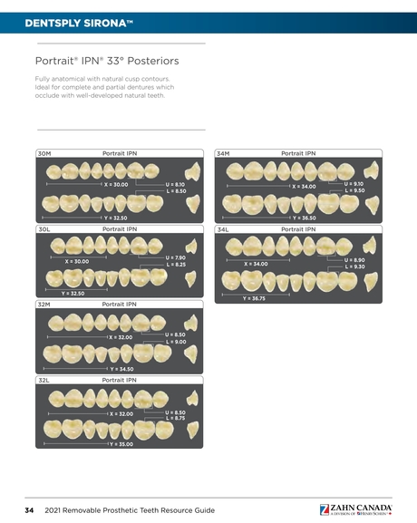 Zahn Teeth Resource Guide 2021 - EN - 34