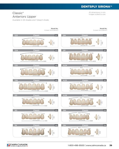 Zahn Teeth Resource Guide 2021 - EN - 39