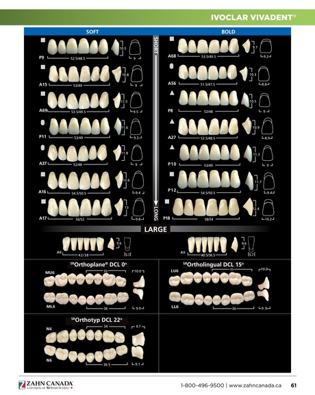 Zahn Teeth Resource Guide 2021 - EN - 61