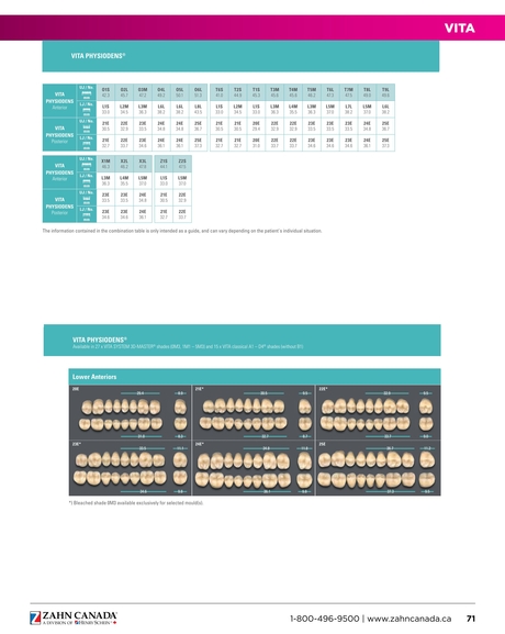 Zahn Teeth Resource Guide 2021 - EN - 71