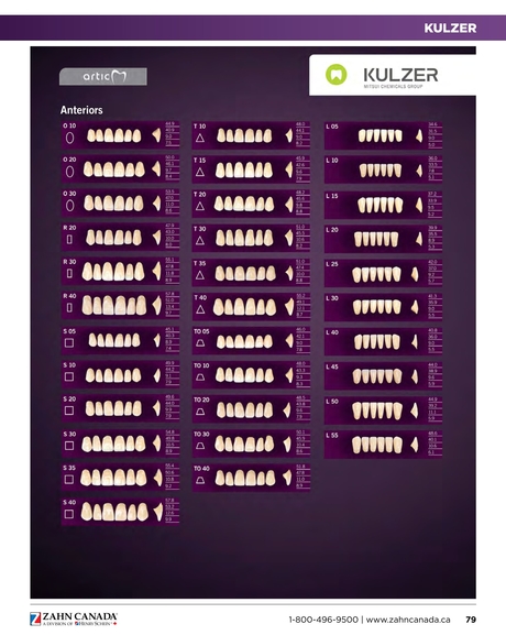 Zahn Teeth Resource Guide 2021 - EN - 79