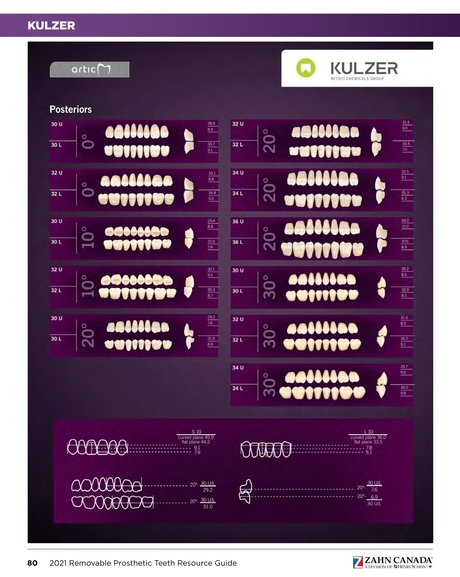 Zahn Teeth Resource Guide 2021 - EN - 80