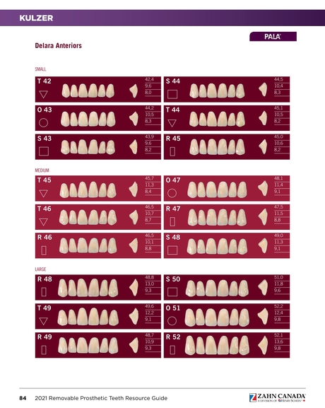 Zahn Teeth Resource Guide 2021 - EN - 84