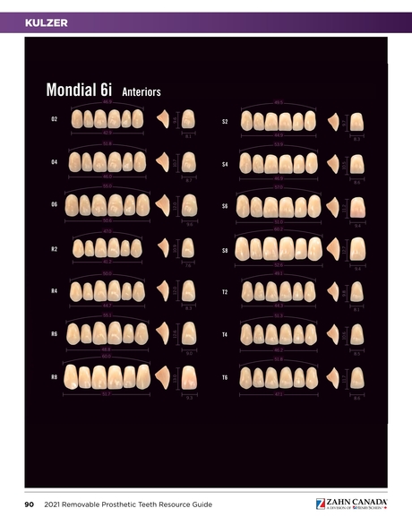 Zahn Teeth Resource Guide 2021 - EN - 90