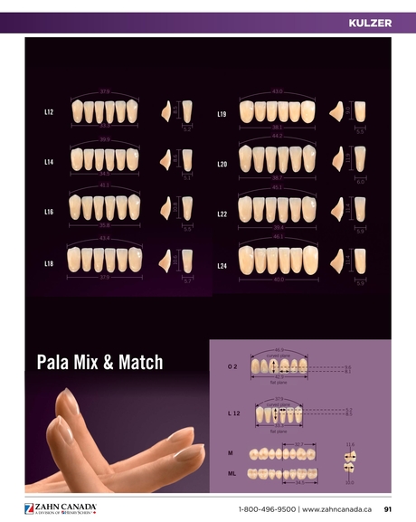 Zahn Teeth Resource Guide 2021 - EN - 91