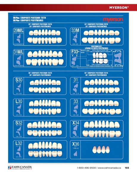 Zahn Teeth Resource Guide 2021 - EN - 103