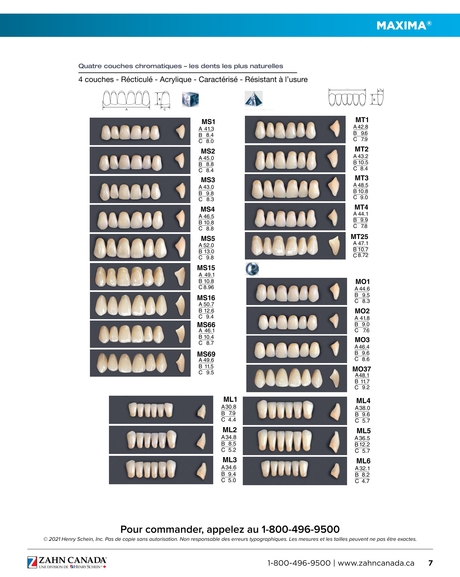 Zahn Teeth Resource Guide 2021 - FR - 7