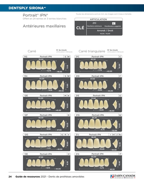Zahn Teeth Resource Guide 2021 - FR - 24