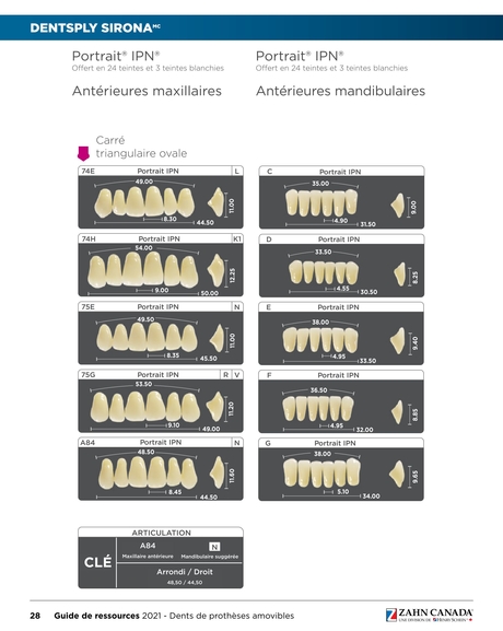 Zahn Teeth Resource Guide 2021 - FR - 28