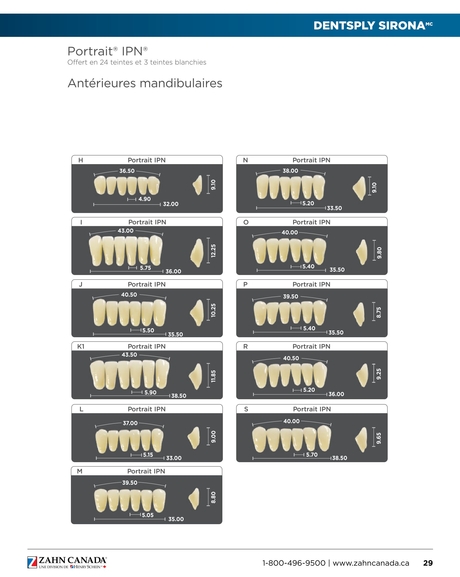 Zahn Teeth Resource Guide 2021 - FR - 29