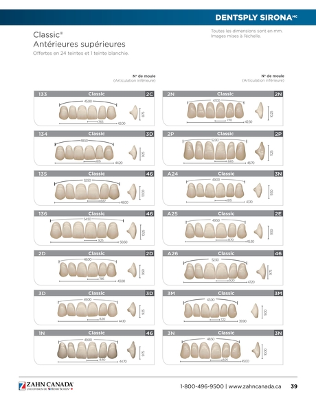 Zahn Teeth Resource Guide 2021 - FR - 39