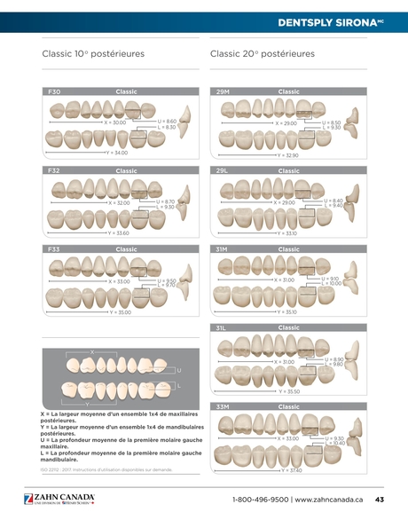 Zahn Teeth Resource Guide 2021 - FR - 43