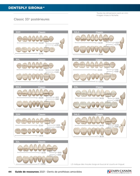 Zahn Teeth Resource Guide 2021 - FR - 44