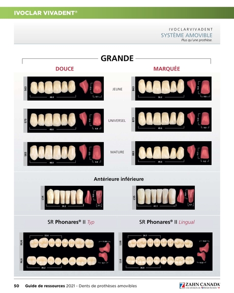 Zahn Teeth Resource Guide 2021 - FR - 50