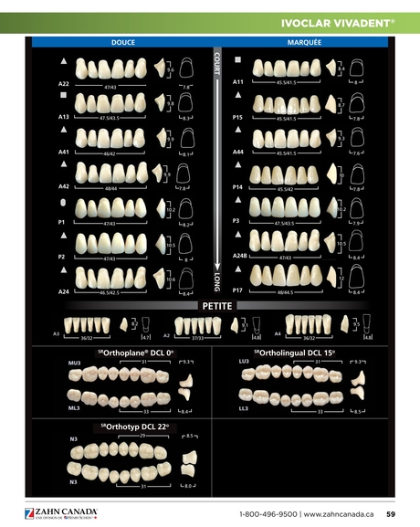 Zahn Teeth Resource Guide 2021 - FR - 59