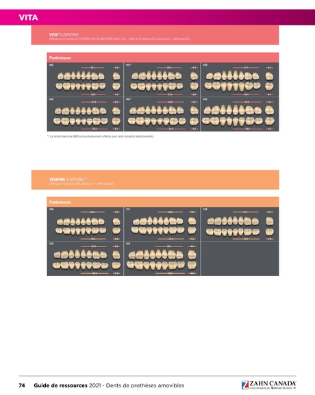 Zahn Teeth Resource Guide 2021 - FR - 74
