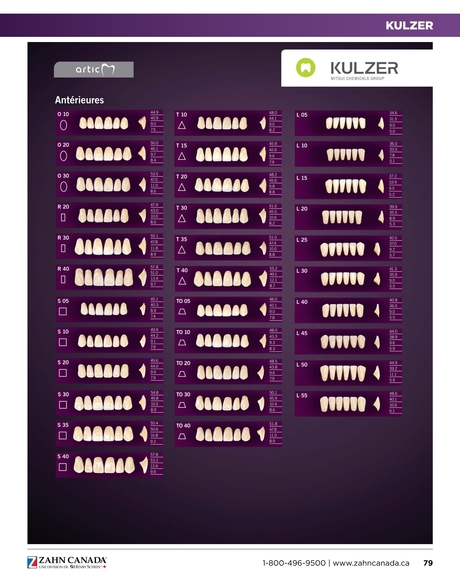 Zahn Teeth Resource Guide 2021 - FR - 79