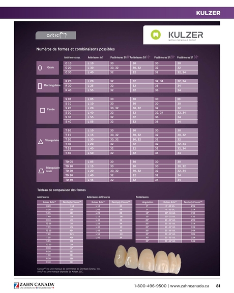 Zahn Teeth Resource Guide 2021 - FR - 81