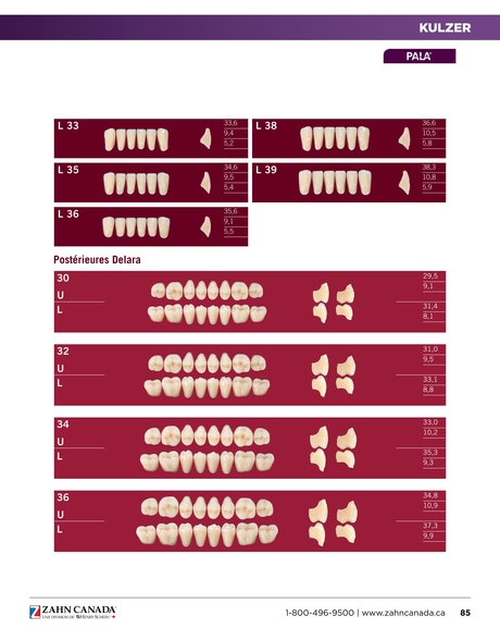 Zahn Teeth Resource Guide 2021 - FR - 85
