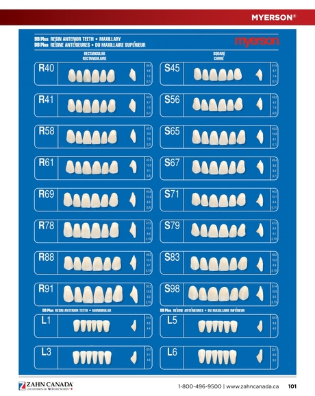 Zahn Teeth Resource Guide 2021 - FR - 101