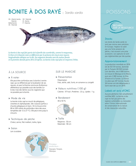 produits de la mer - Guide des Especes 2020 - 43