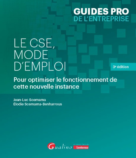 Guides pro de l’entreprise - Le CSE, mode d'emploi - 3e