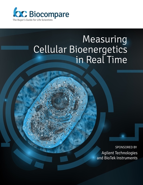 eBook: Measuring Cellular Bioenergetics in Real Time