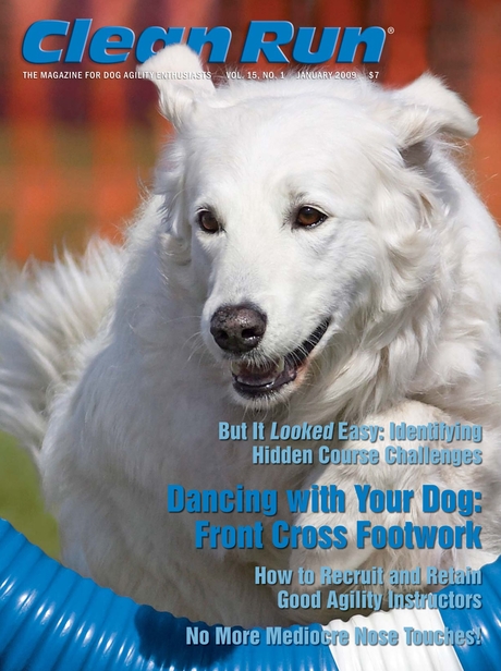 Clean Run - January 2009