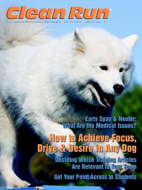 Clean Run - January 2011